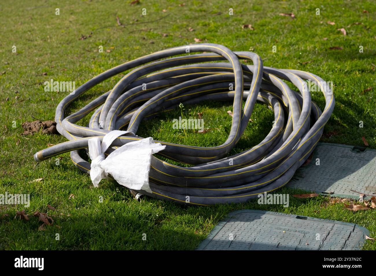 garden hose laying on green grass Stock Photo - Alamy