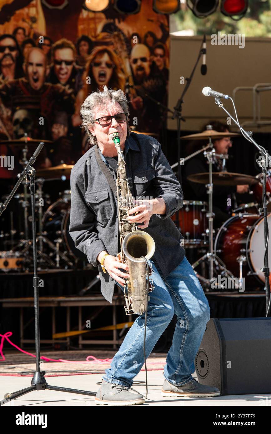 Scott page on stage at rock for ronnie charity concert hi-res stock ...