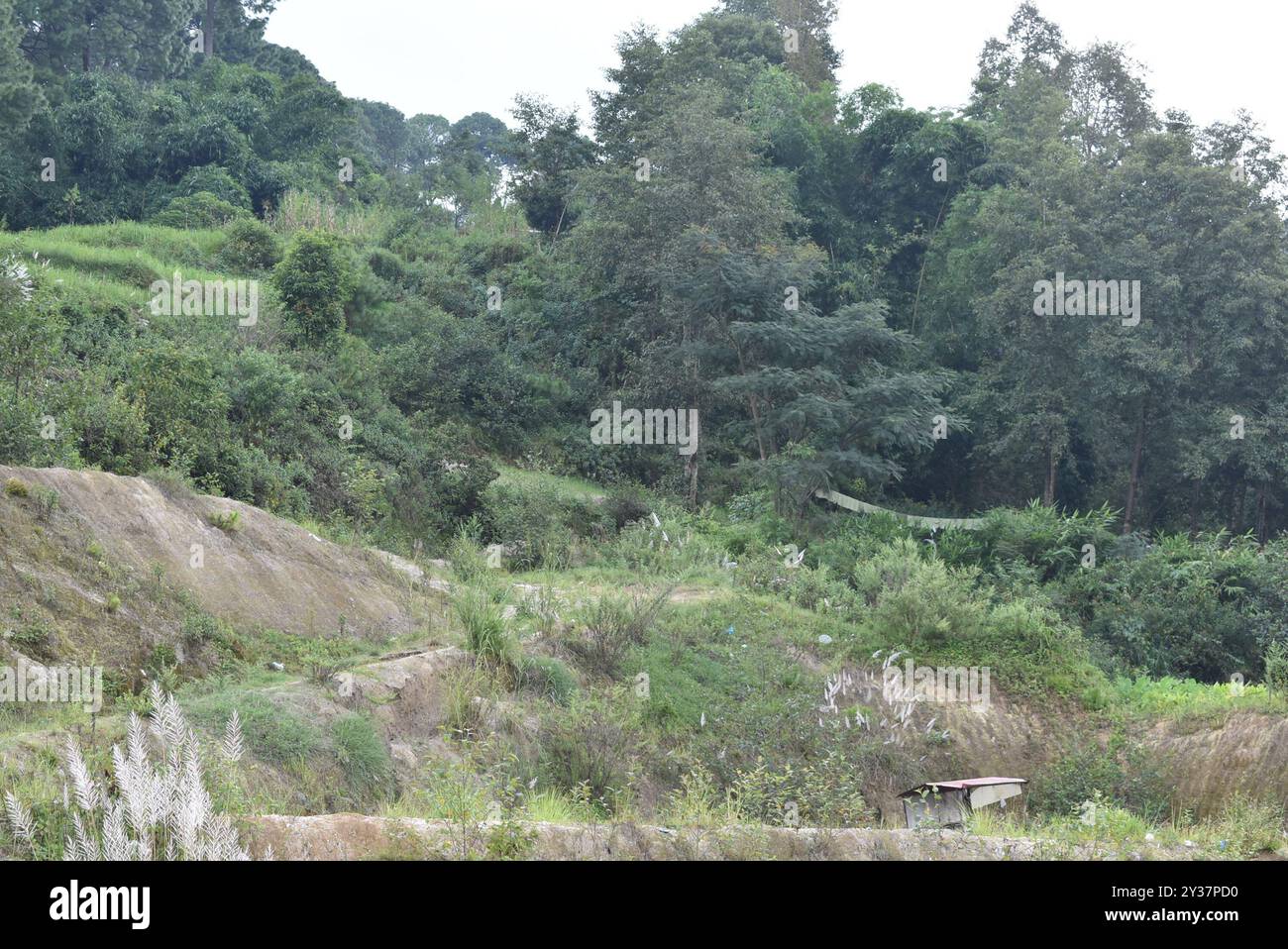 Tokha Jhor Jharana Waterfall, Kathmandu, Nepal Stock Photo - Alamy