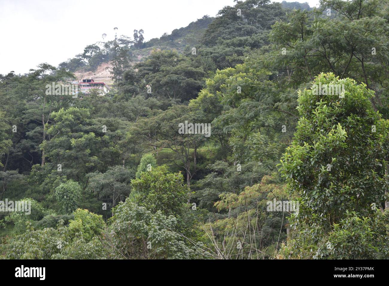 Tokha Jhor Jharana Waterfall, Kathmandu, Nepal Stock Photo - Alamy