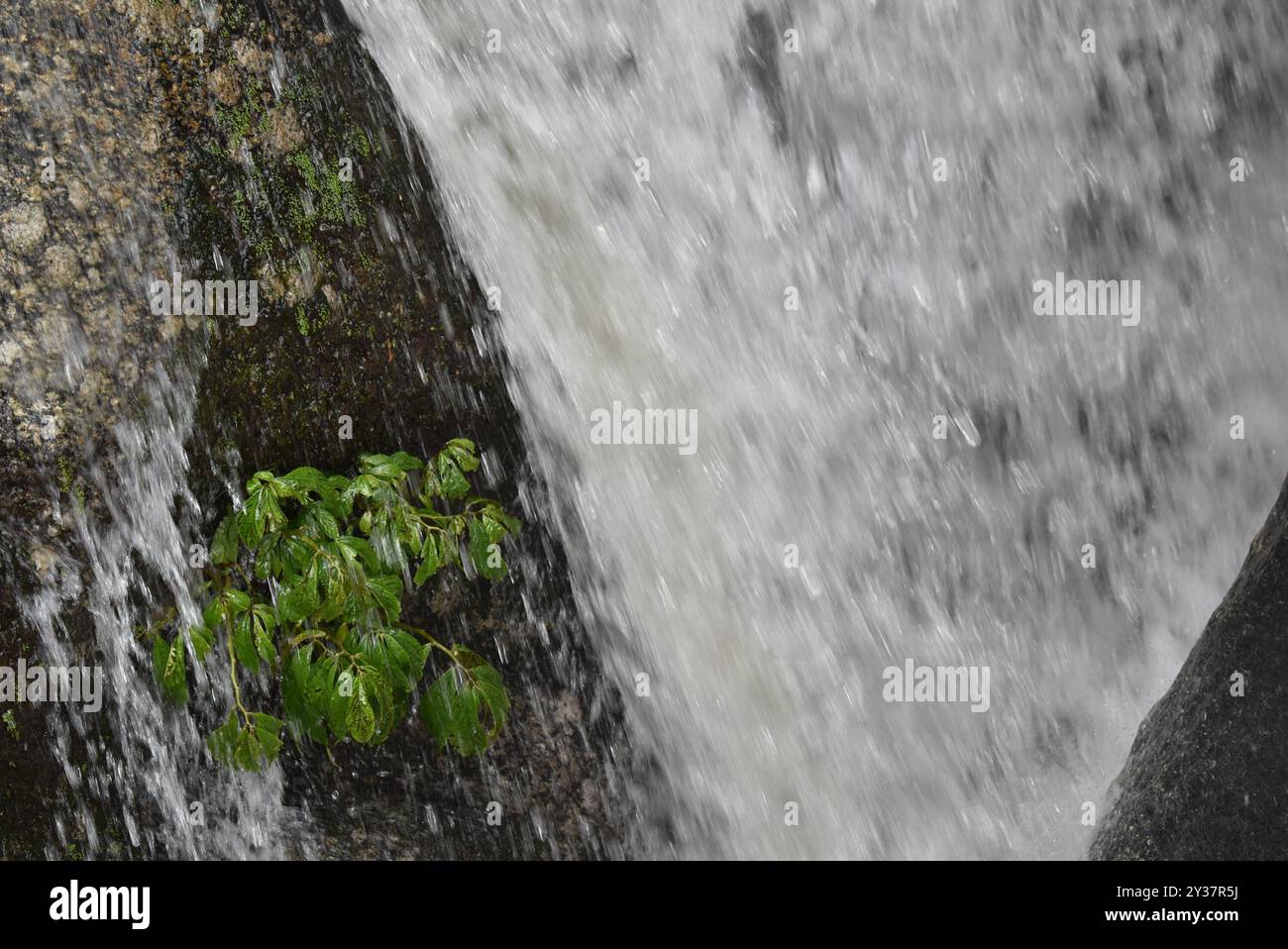 Tokha Jhor Jharana Waterfall, Kathmandu, Nepal Stock Photo - Alamy