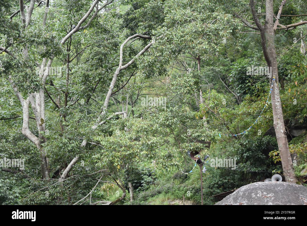 Tokha Jhor Jharana Waterfall, Kathmandu, Nepal Stock Photo - Alamy