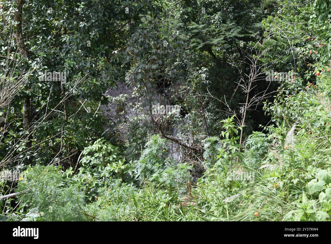 Tokha Jhor Jharana Waterfall, Kathmandu, Nepal Stock Photo - Alamy