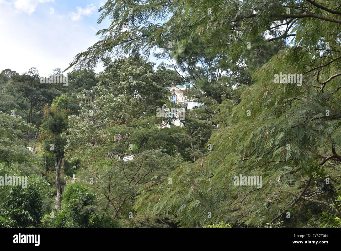 Tokha Jhor Jharana Waterfall, Kathmandu, Nepal Stock Photo - Alamy