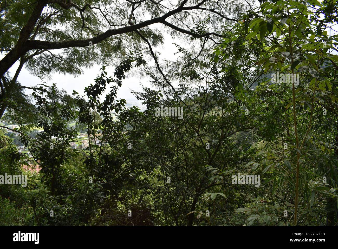 Tokha Jhor Jharana Waterfall, Kathmandu, Nepal Stock Photo - Alamy