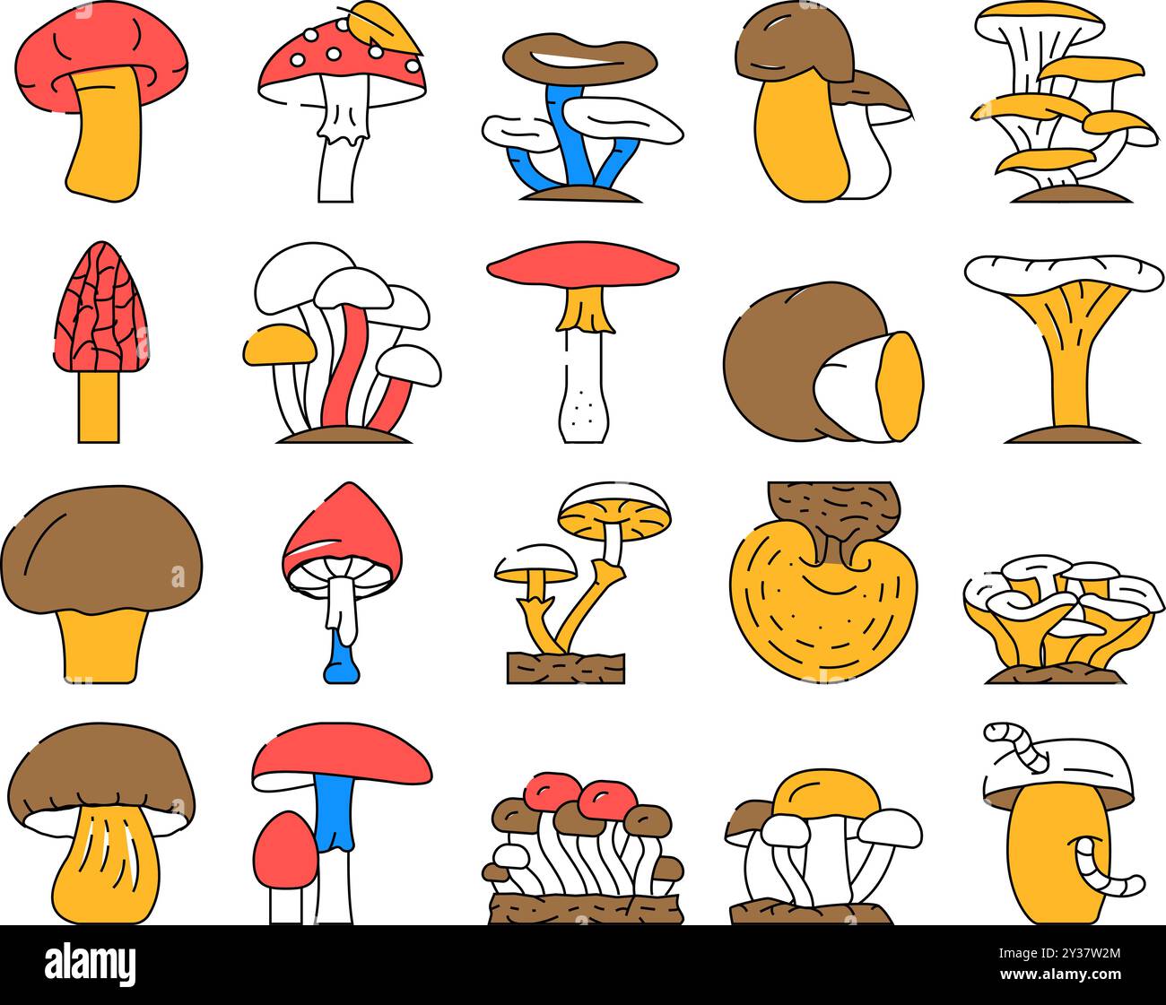 Black morel forest picking Stock Vector Images - Alamy