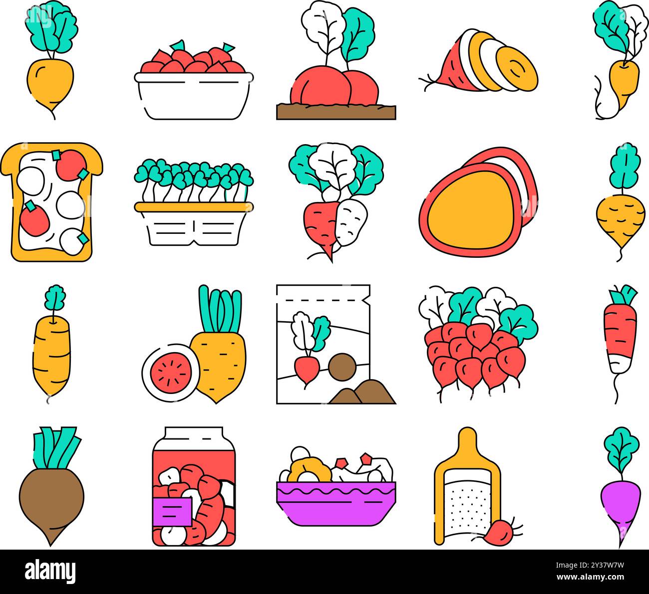 radish food organic vegetable icons set vector Stock Vector Image & Art ...