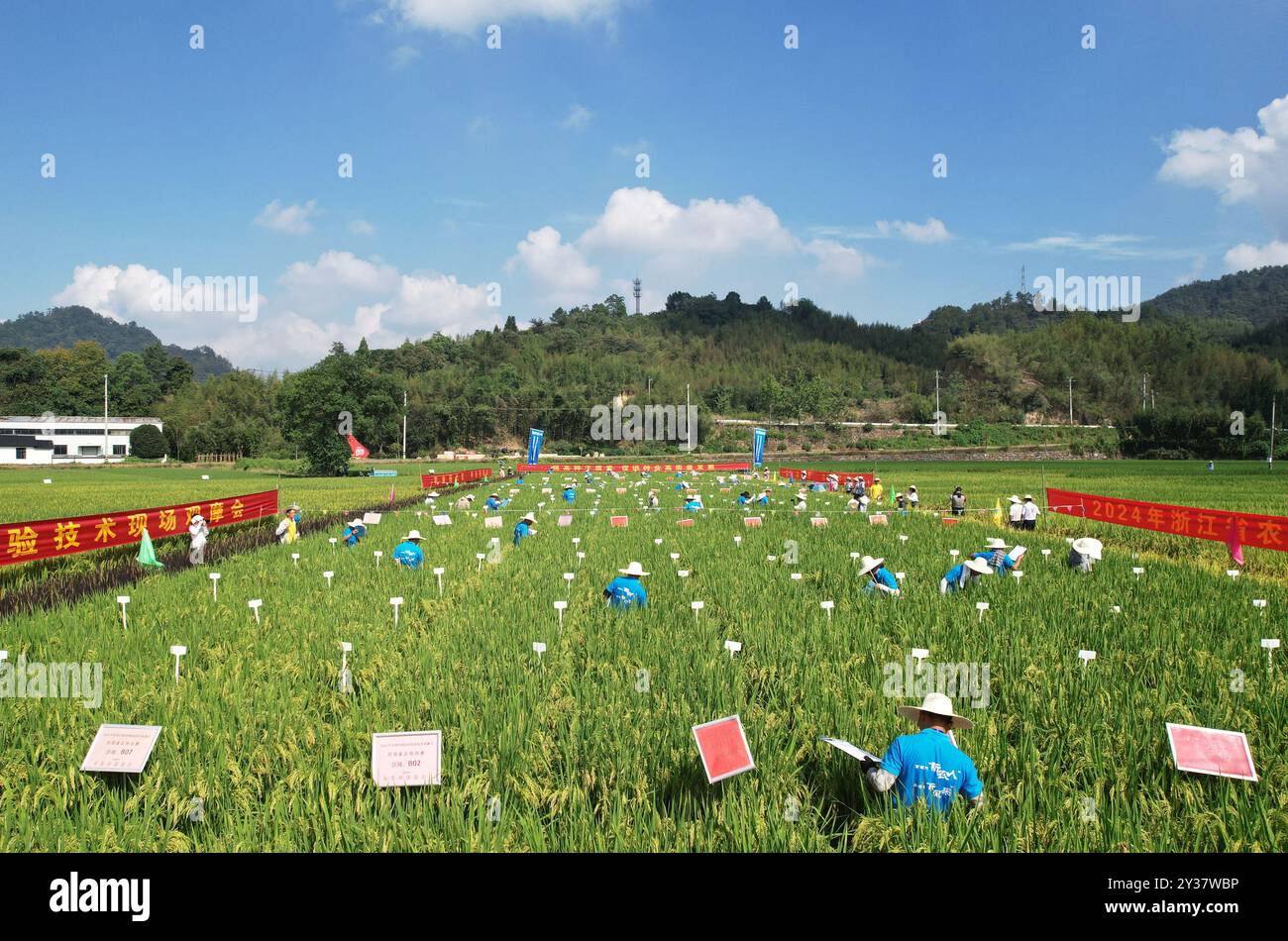 Hangzhou, China. 13th Sep, 2024. HANGZHOU, CHINA - SEPTEMBER 13, 2024 ...