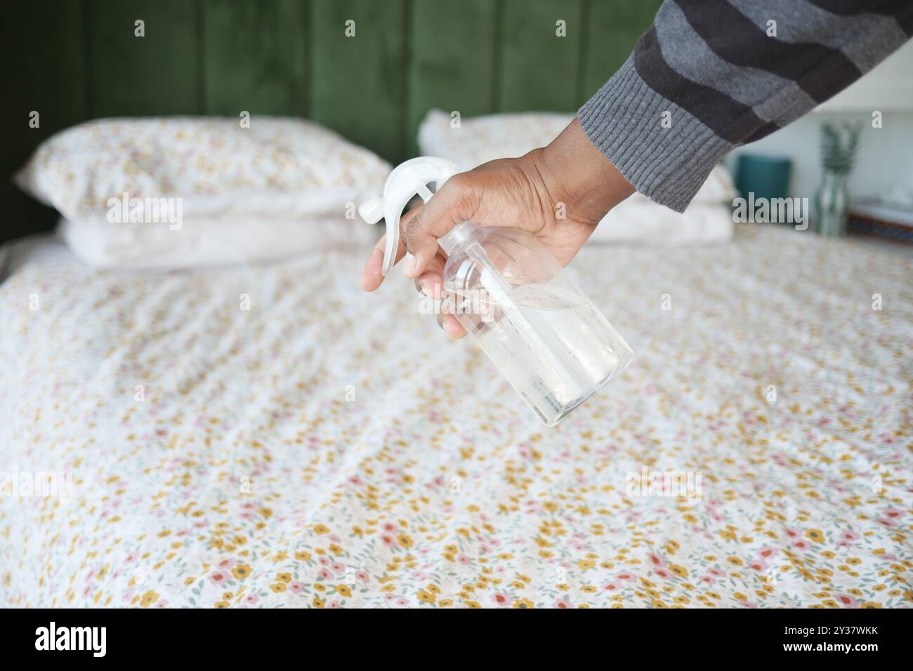 Using a hand spray, we are freshening up the bedding, which is on a ...