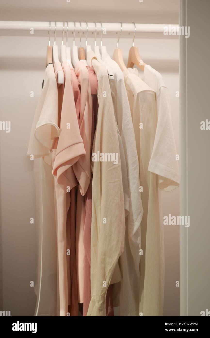 Stylish Minimalist Clothing Rack Displaying Soft, Trendy Pastel Apparel ...