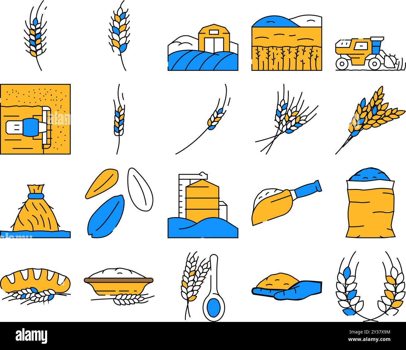 wheat grain cereal plant icons set vector Stock Vector Image & Art - Alamy