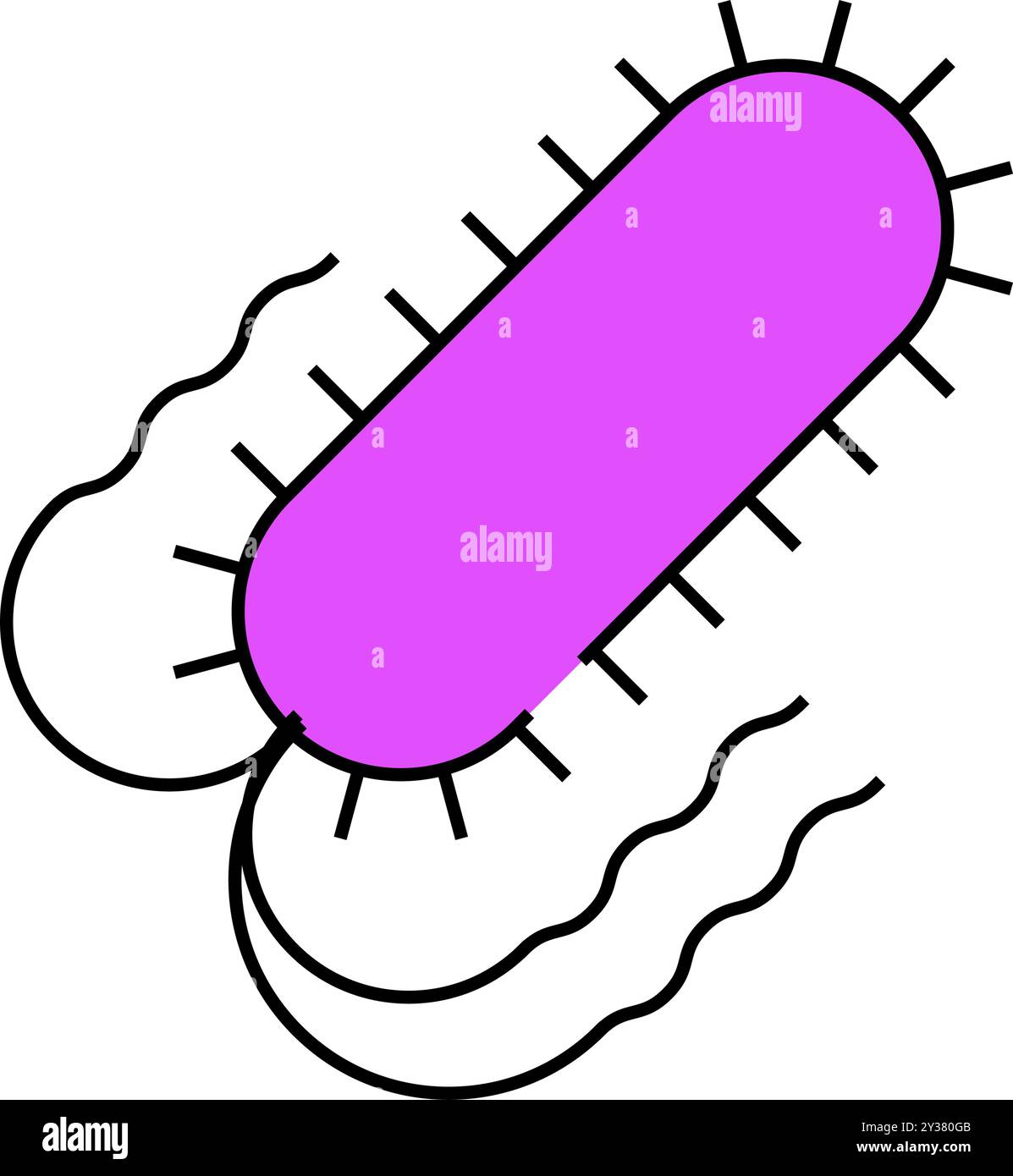 salmonella bacteria icon color illustration Stock Vector Image & Art ...