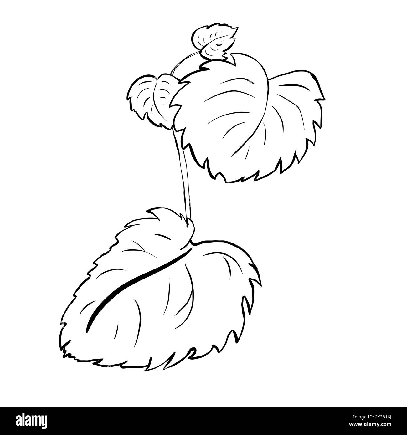 Sprout with leaves with sharp edge, line art illustration Stock Photo ...