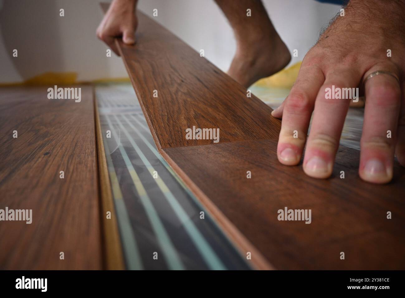Construction worker carefully placing laminate floor plank over newly ... Construction worker carefully placing laminate floor plank over newly ...