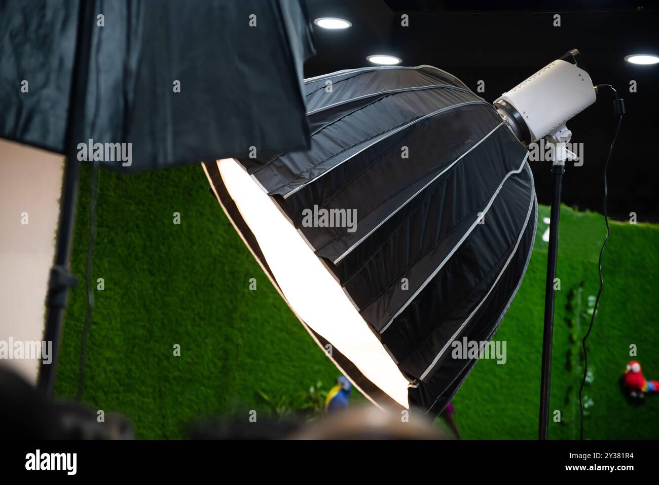 Close-up of studio strobe light in photography studio Stock Photo - Alamy