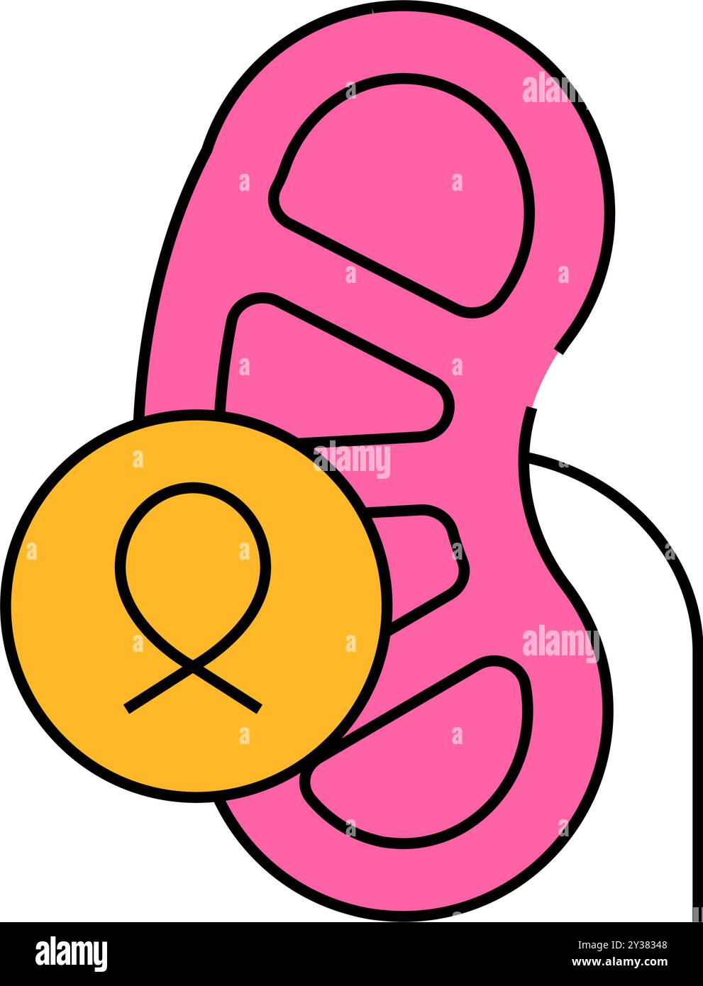 kidneys cancer sign icon color illustration Stock Vector Image & Art ...