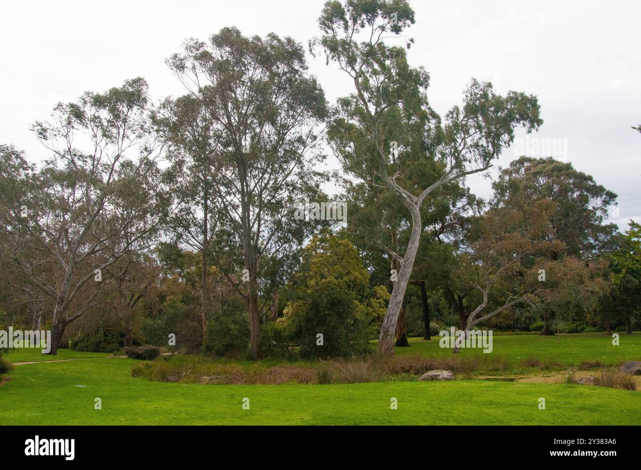 Grace fraser hi-res stock photography and images - Alamy