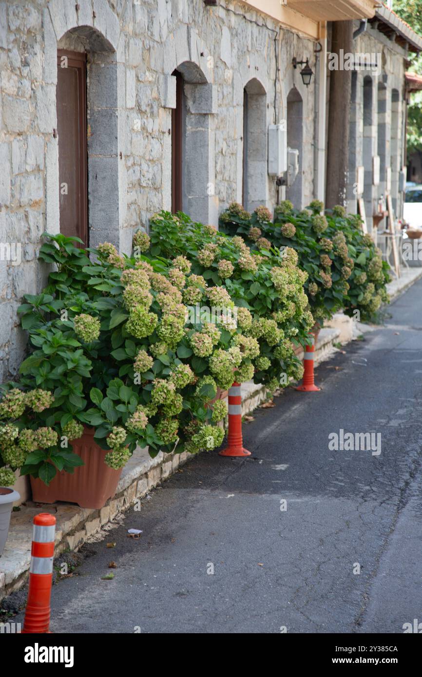 Lagadia village, Arkadia,Greece Stock Photo - Alamy