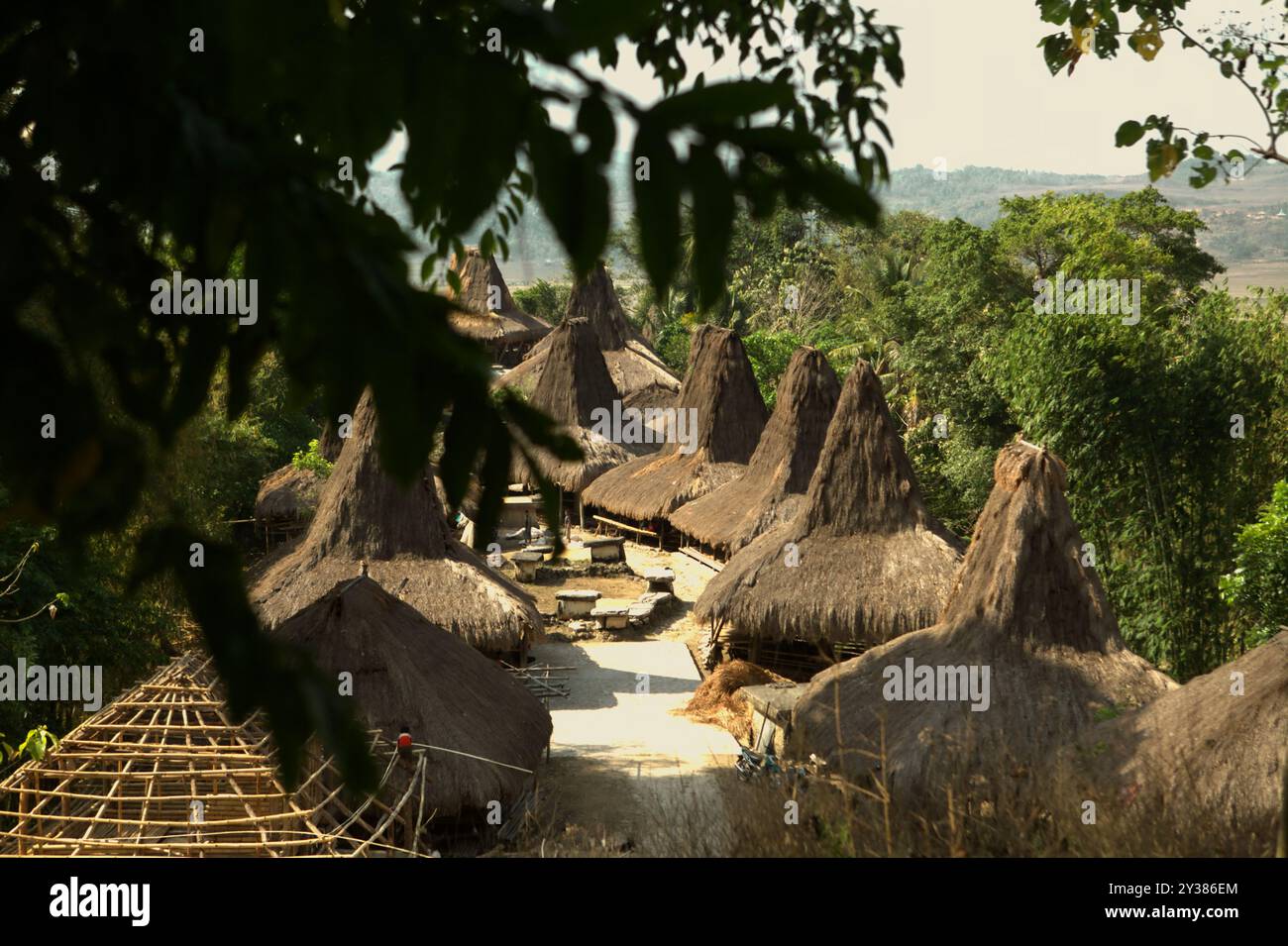 Sumbanese traditional houses in the traditional village of Praijing in ...