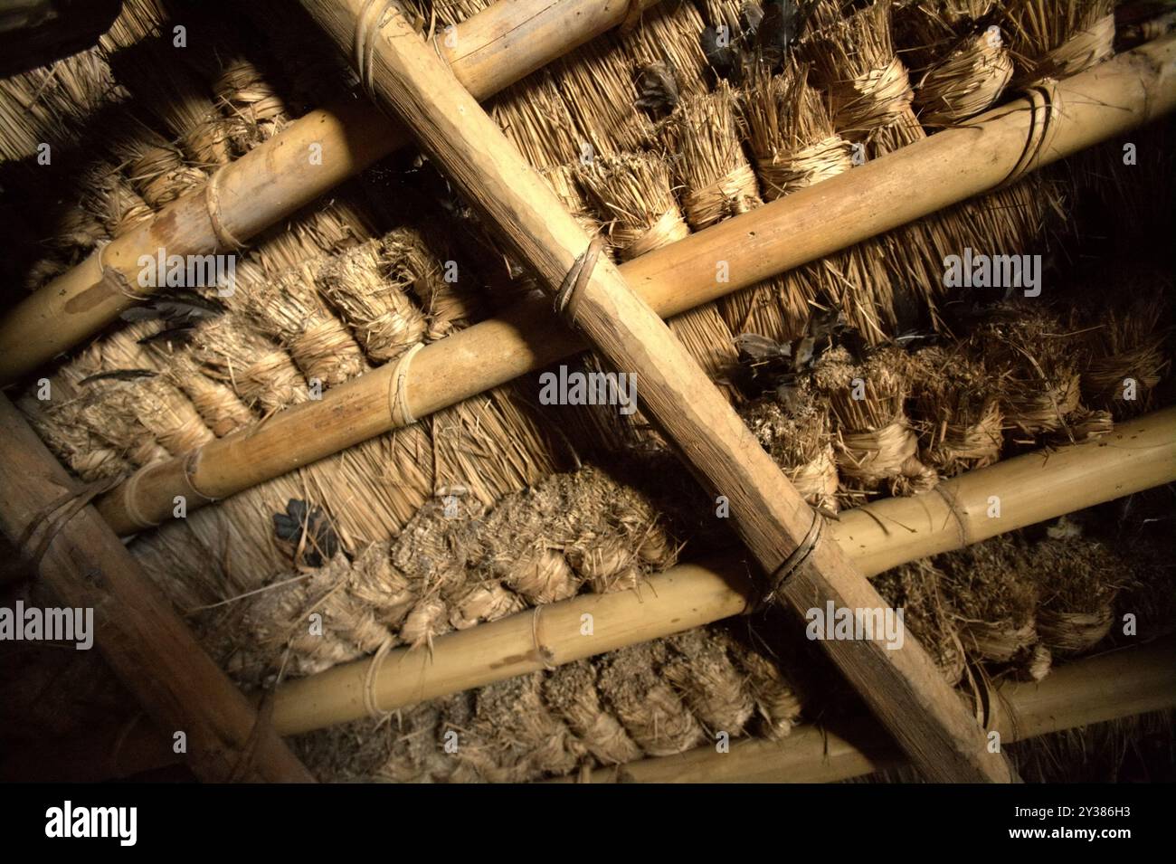 Thatched roof is seen from inside an indigenous house in traditional ...