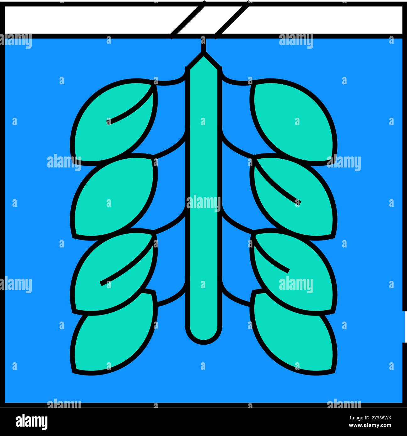 Oyster mushroom color icon Stock Vector Images - Alamy