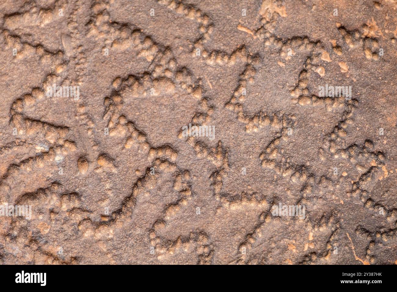 prehistoric symbol, petroglyph, Aït Ouazik rock deposit, late Neolithic ...