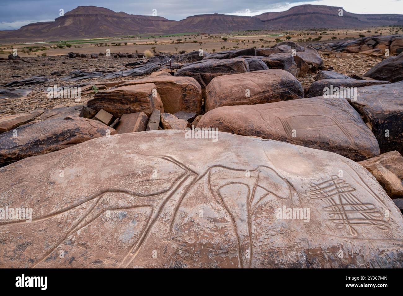 petroglyph, prehistoric ungulate, Aït Ouazik rock deposit, late ...
