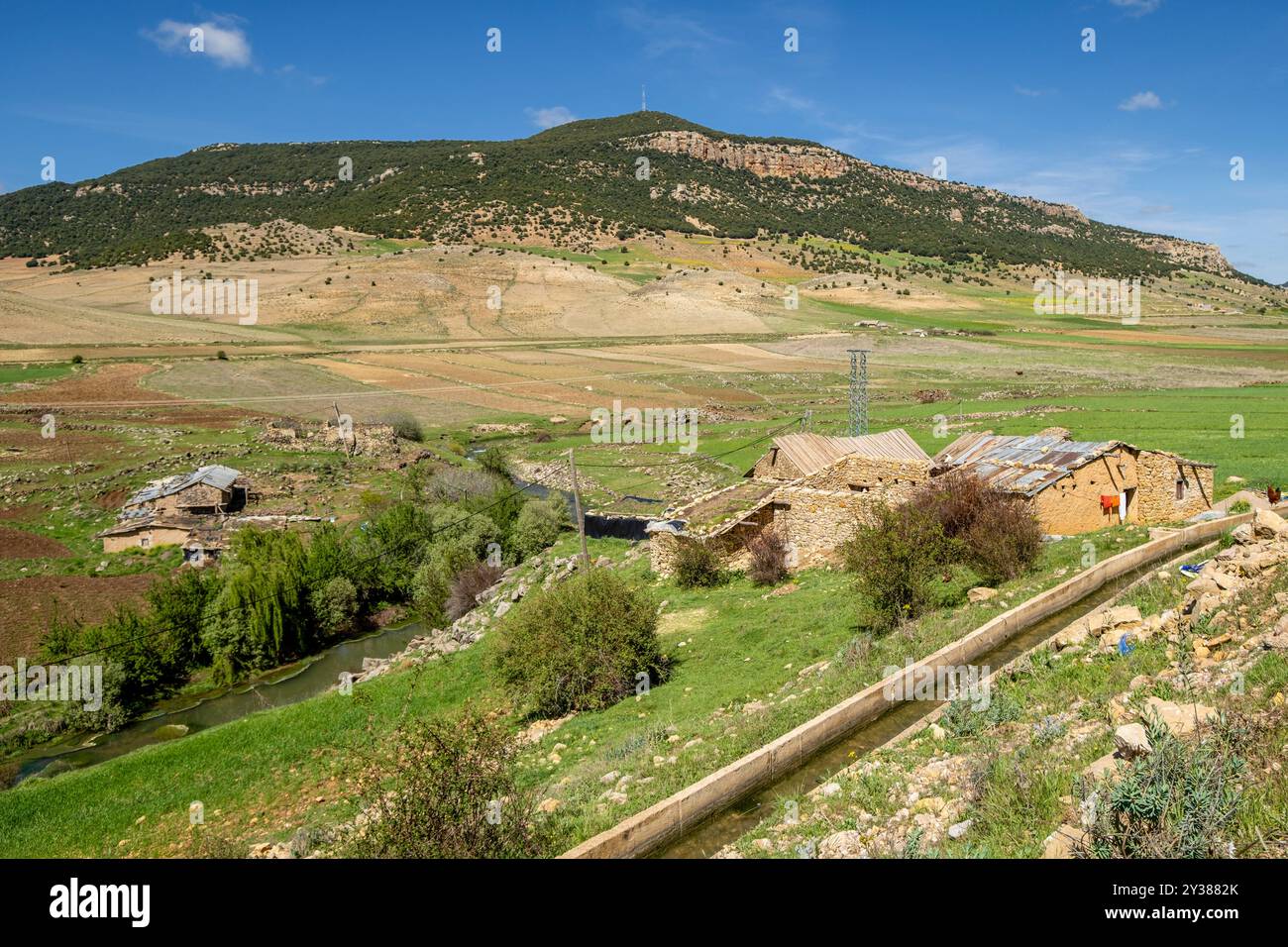traditional crops, Ifran National Park, Middle Atlas, Morocco, Africa ...