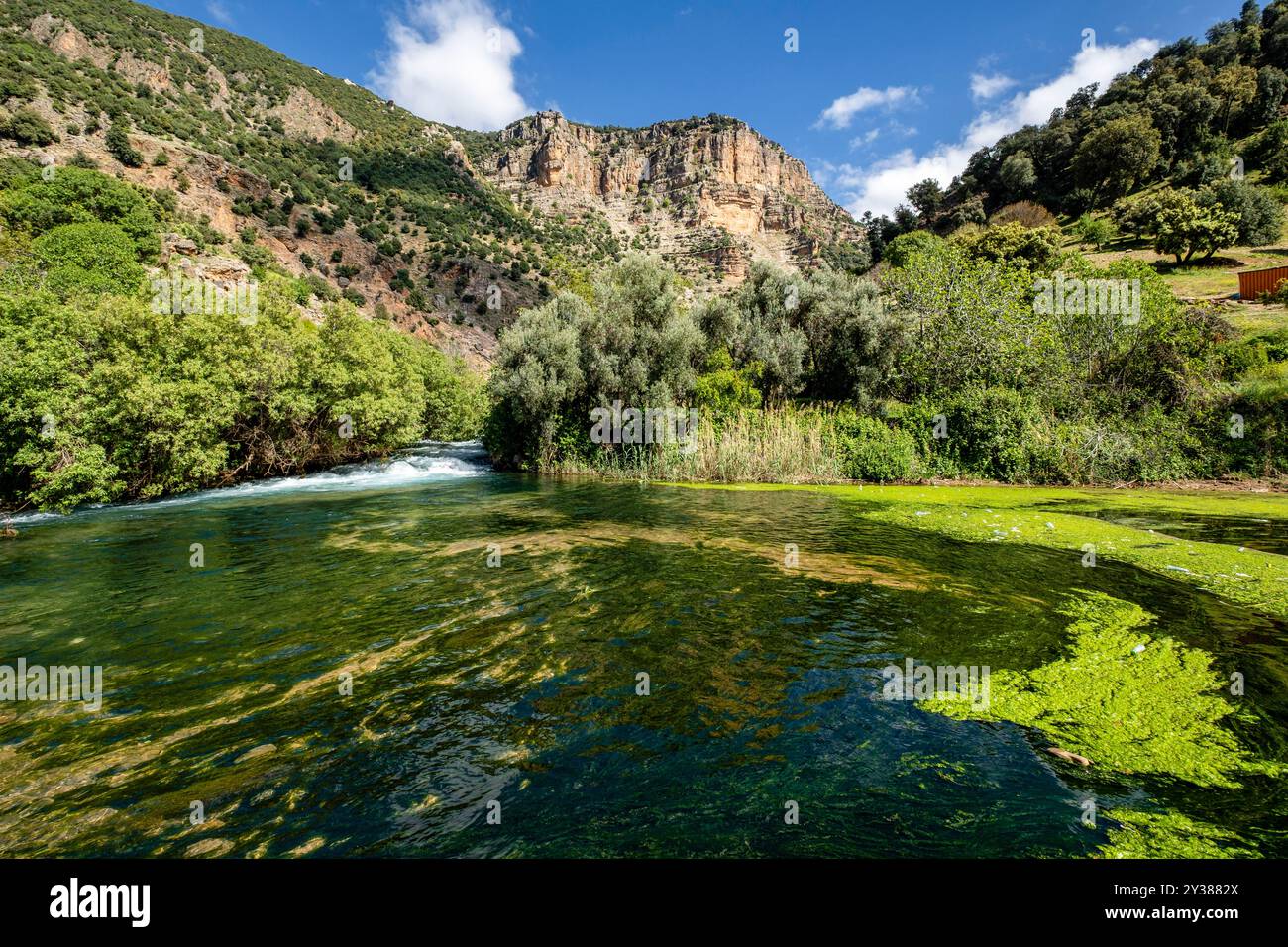 Sources of Oum Rabia, Zaouia de Ifrane, Middle Atlas,, Morocco, Africa ...