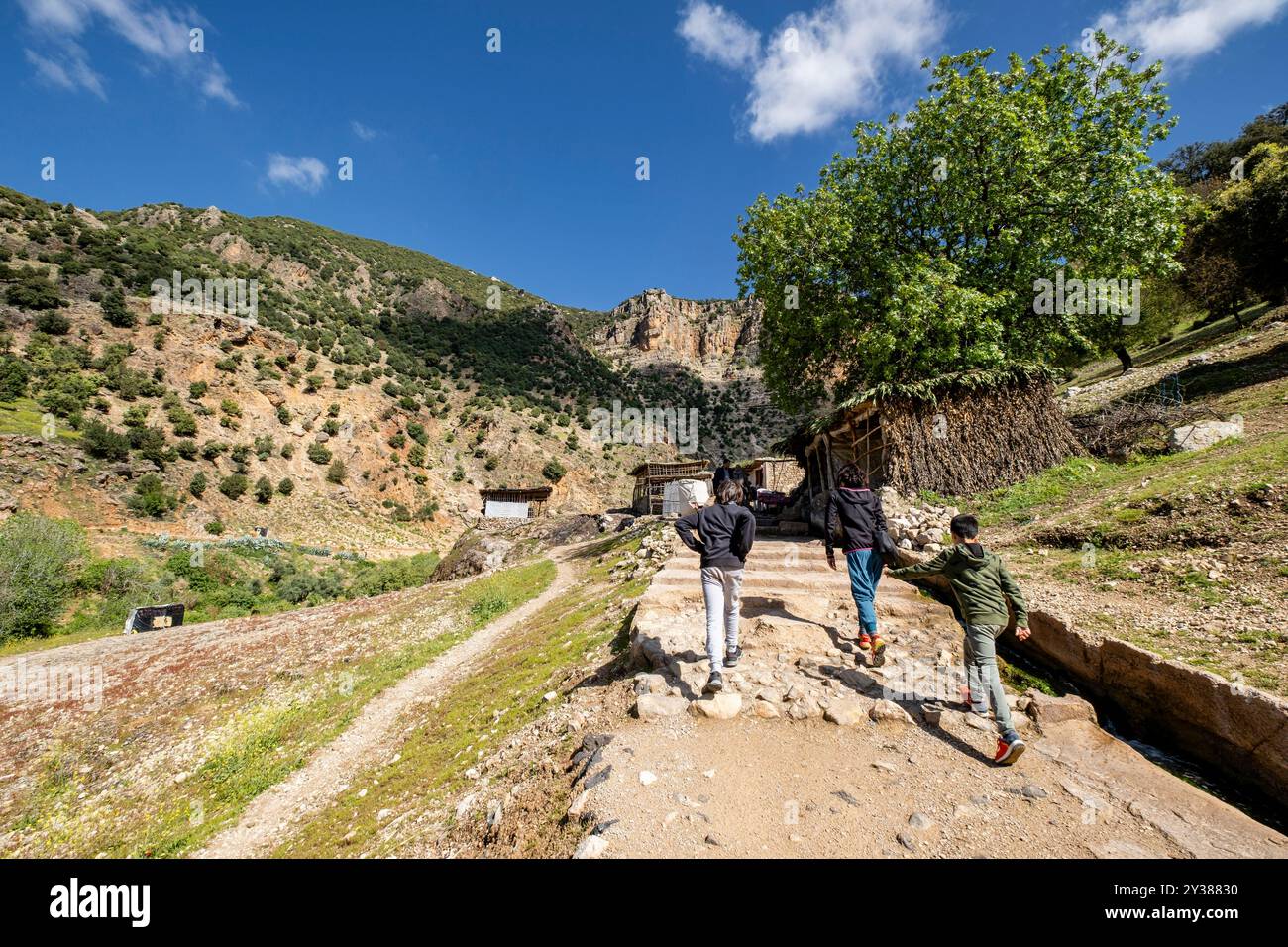 Sources of Oum Rabia, Zaouia de Ifrane, Middle Atlas,, Morocco, Africa ...