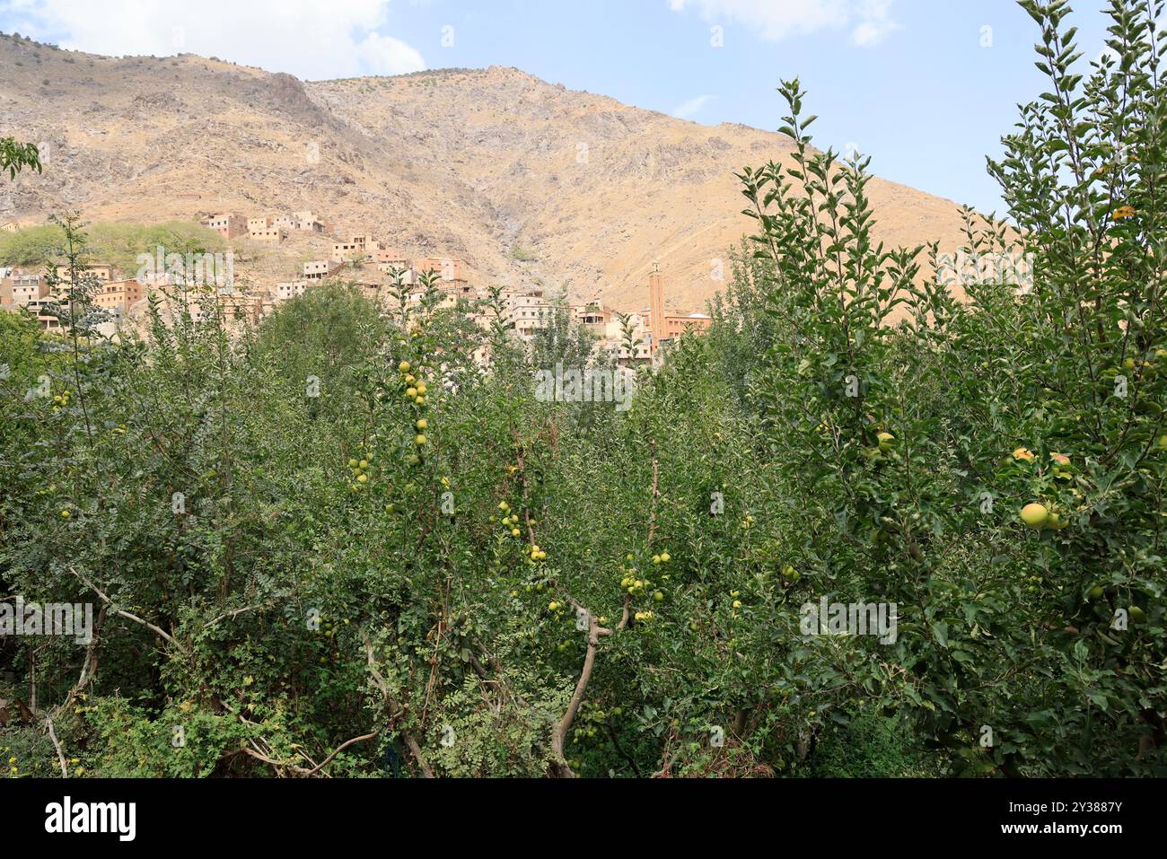 Imlil village located in the High Atlas Mountains at the gates of the ...