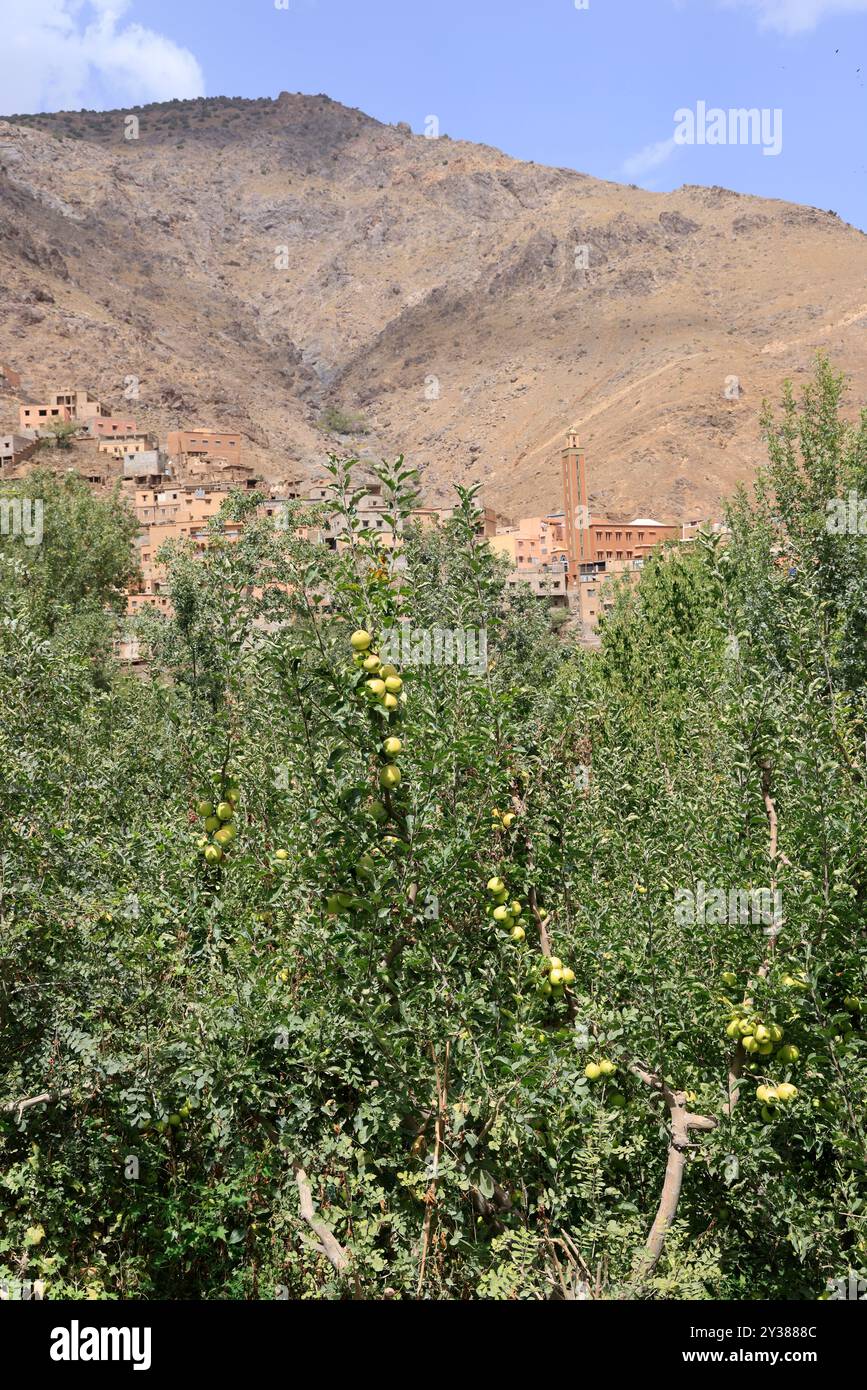 Imlil village located in the High Atlas Mountains at the gates of the ...