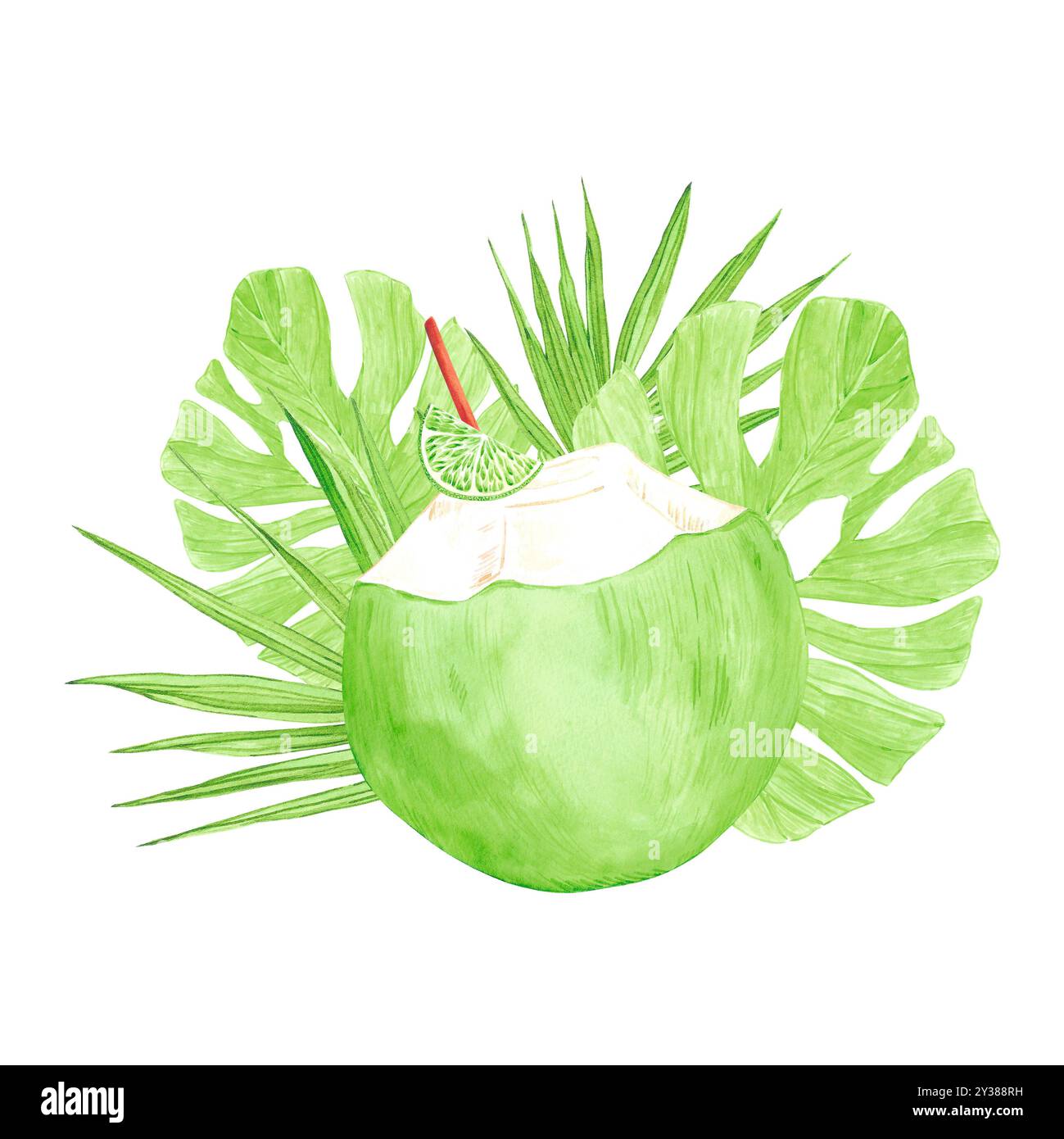 Hand drawn watercolor tropical green coconut cocktail with lime and ...