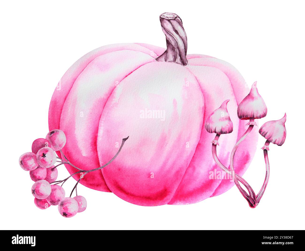 Pink pumpkin, squash, berries and poisonous mushrooms. Cut out isolated ...