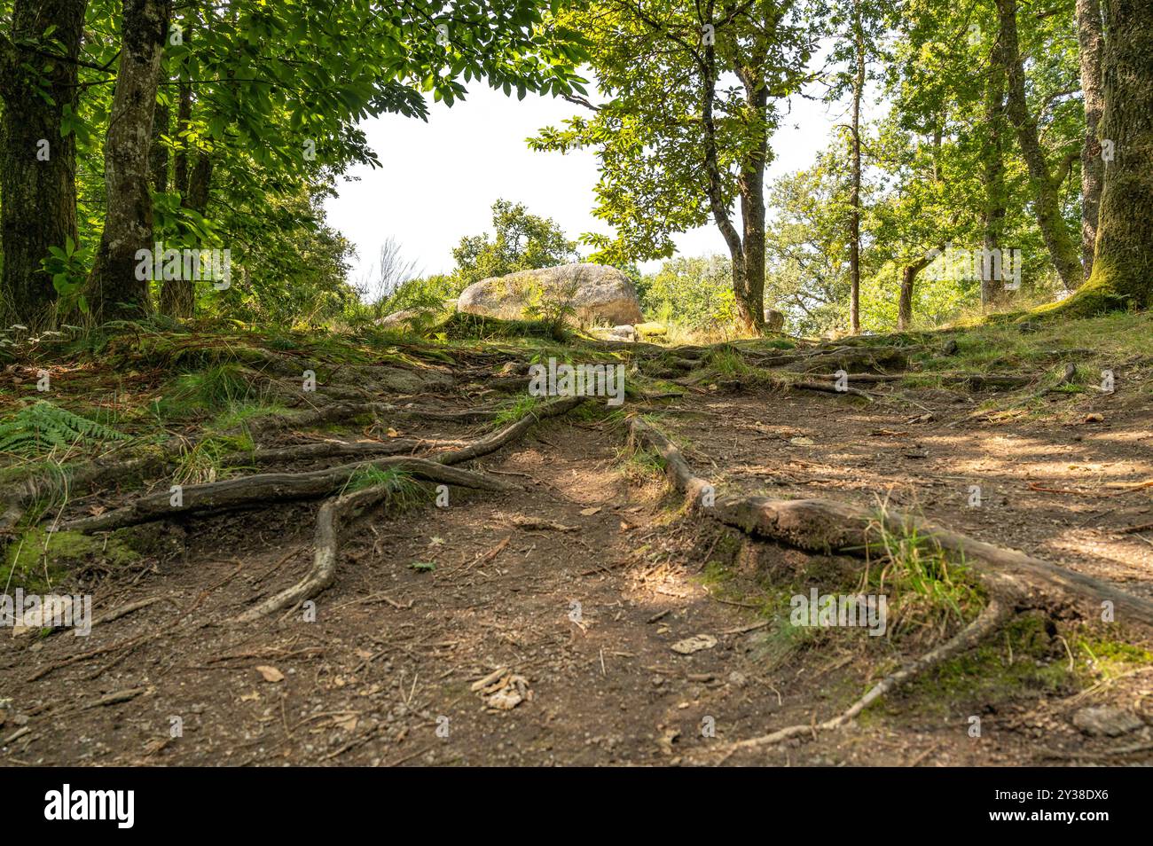 The granite boulders of the Pierres Jaumâtres, a natural jewel of the ...