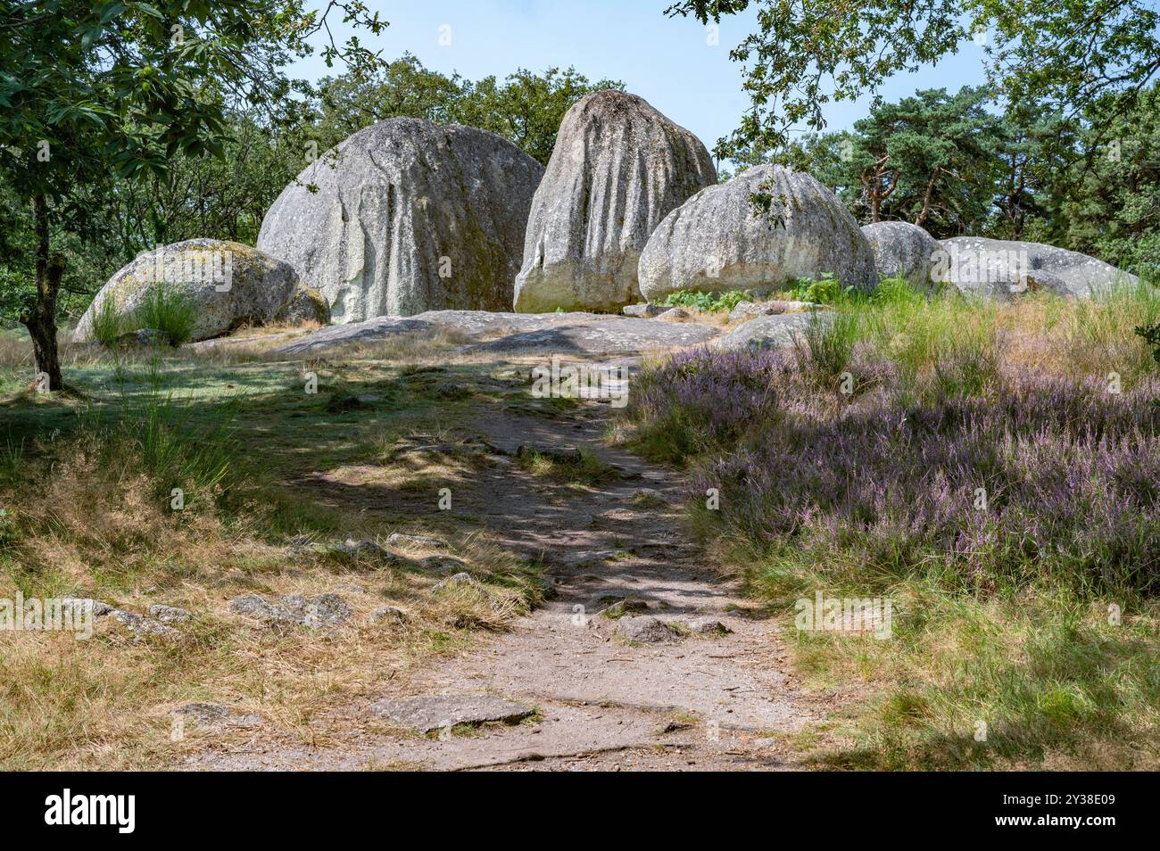 The granite boulders of the Pierres Jaumâtres, a natural jewel of the ...