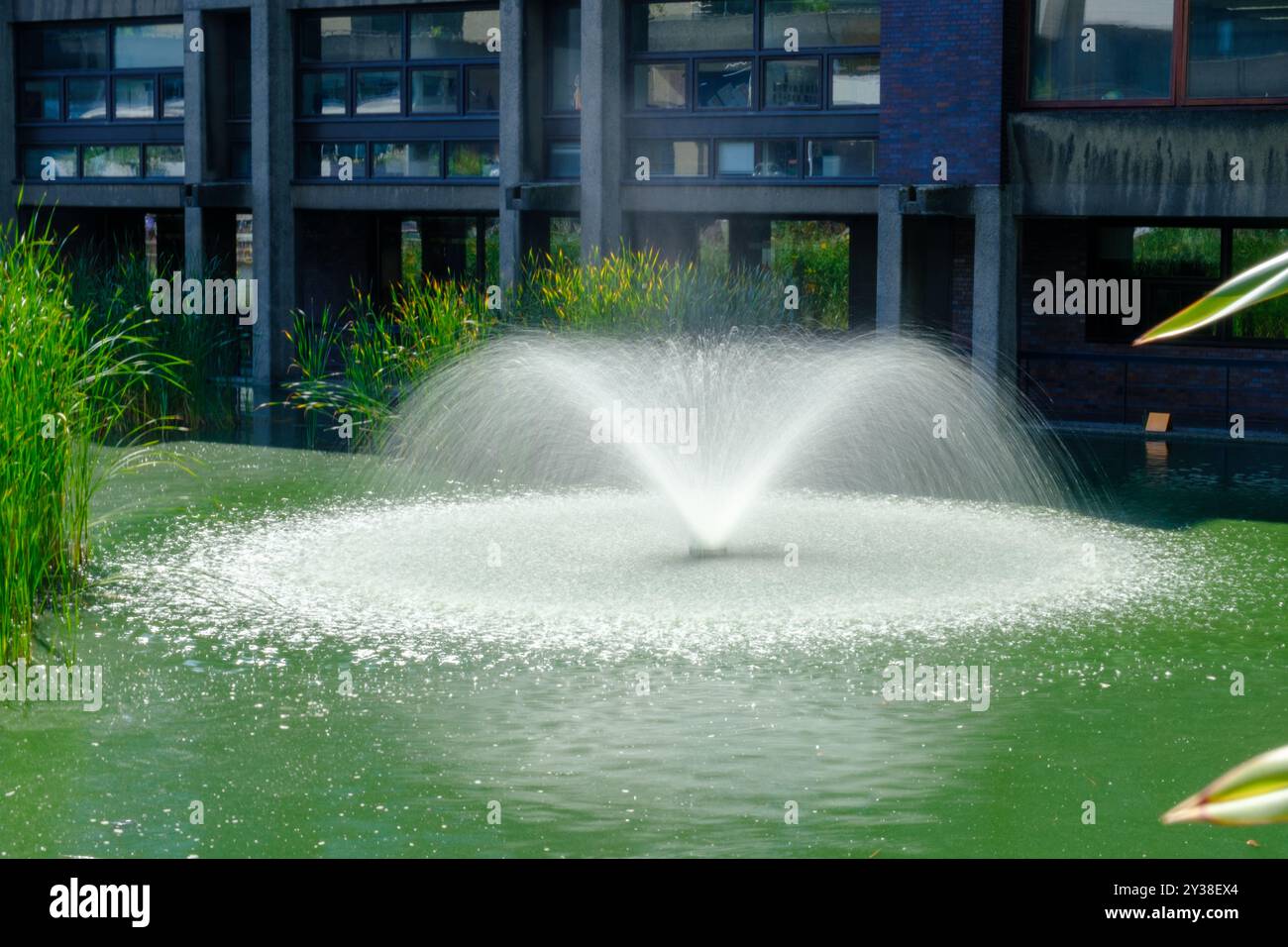 High rise greenery hi-res stock photography and images - Alamy