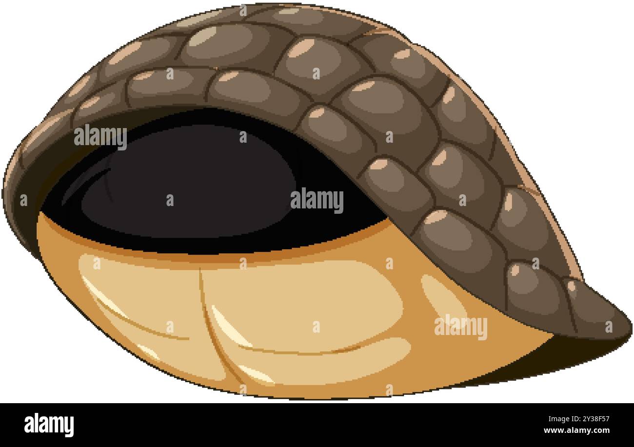 Curled up into a ball Cut Out Stock Images & Pictures - Alamy