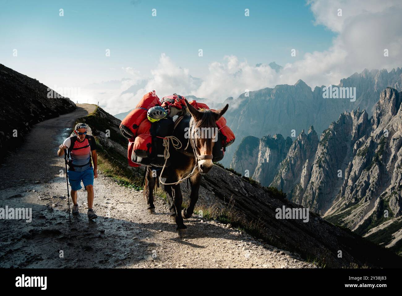 Tre cime di lavaredo animal Climbing man and his donkey Italian ...