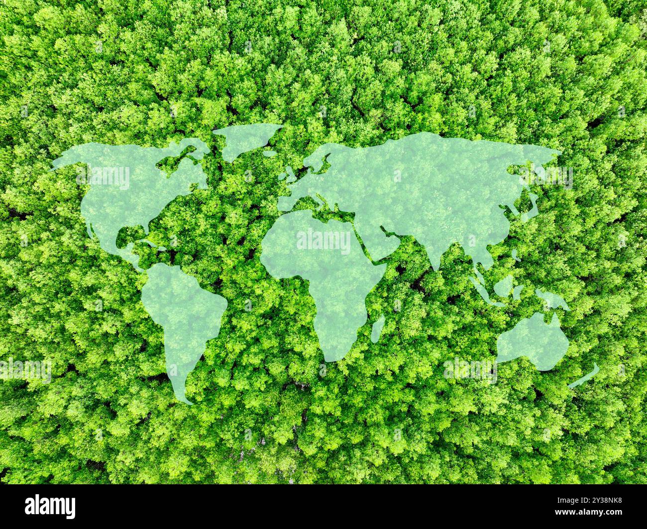 World map above green mangrove forest. Net zero emissions and natural ...