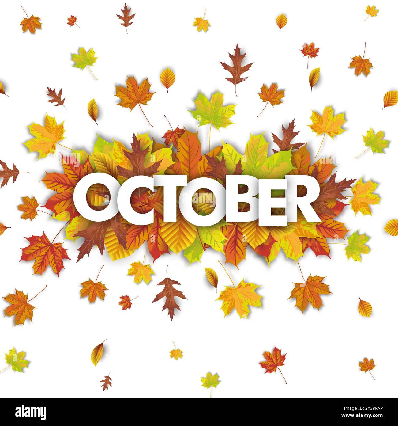 Autumn Foliage Explosion October White Cover Autumn foliage on the ...