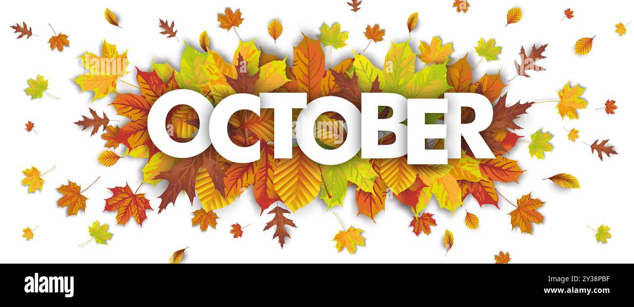 Autumn Foliage Explosion White Centre October Autumn foliage on the ...