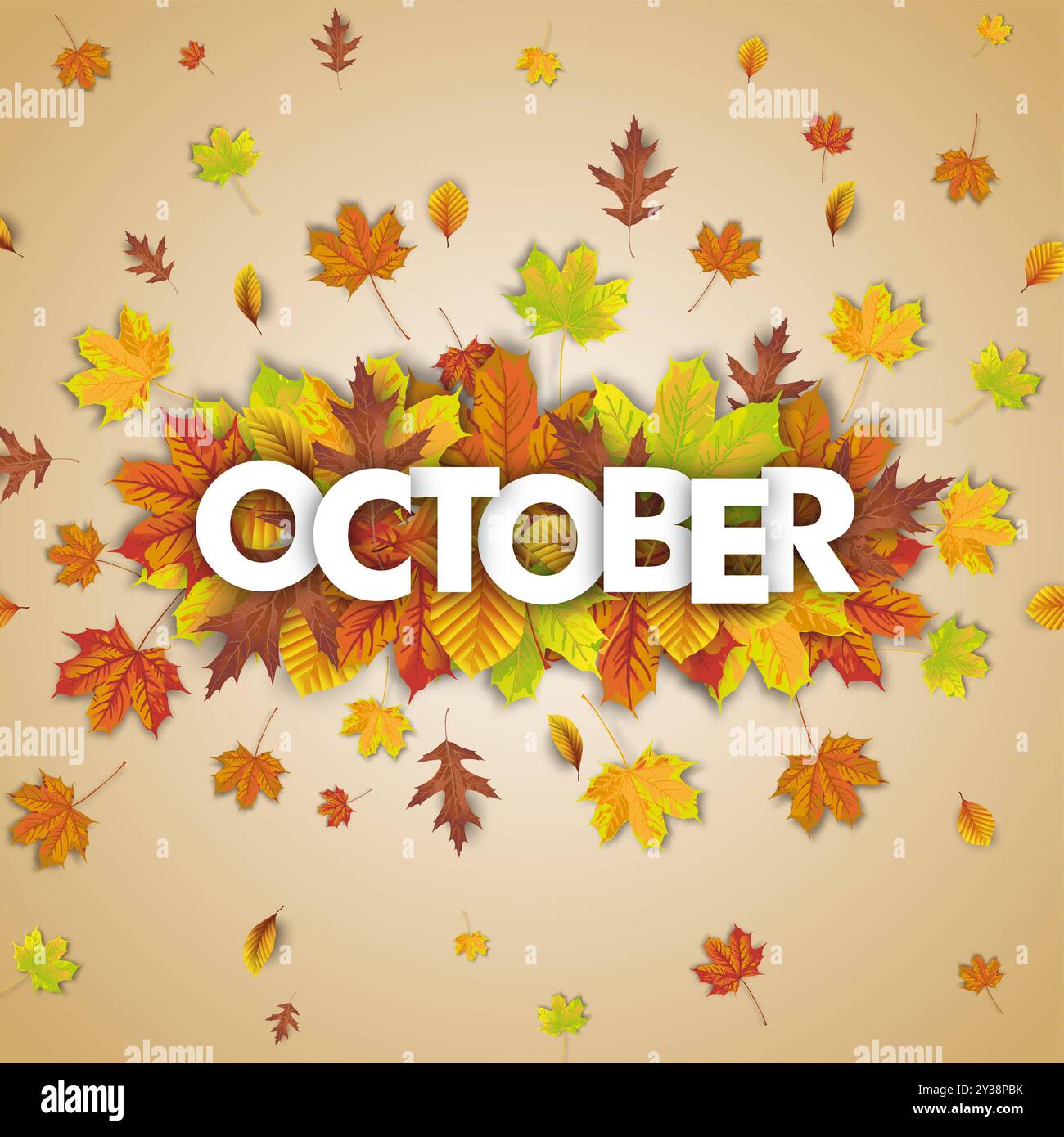 Autumn Foliage Explosion October Cover Autumn foliage on the white ...