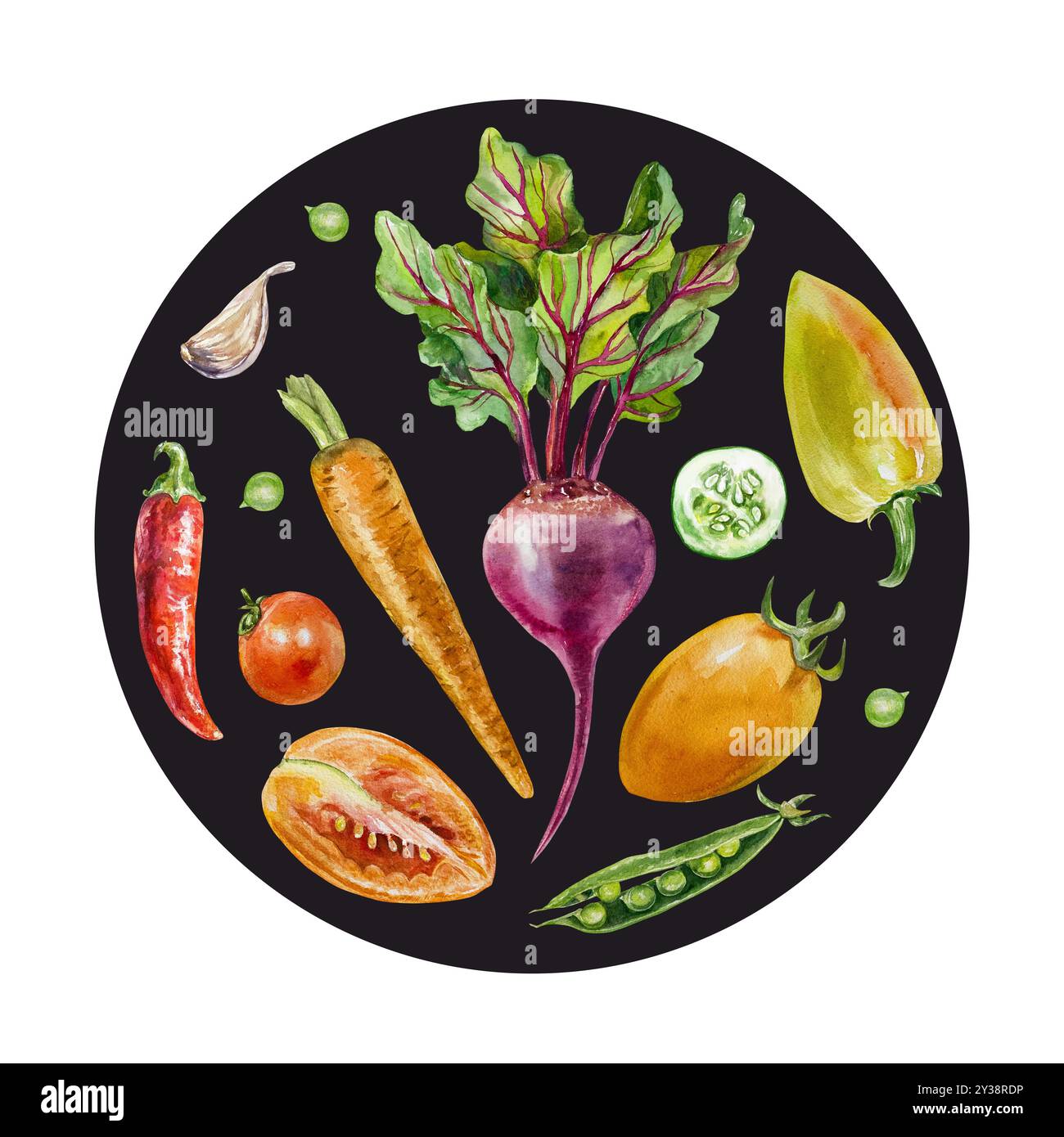 Vegetables set. Beetroot, tomatoes, pepper, carrot, peas on a black ...