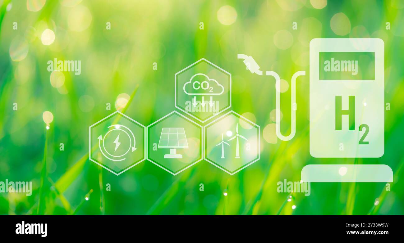 Green hydrogen energy generation using sustainable renewable resources ...