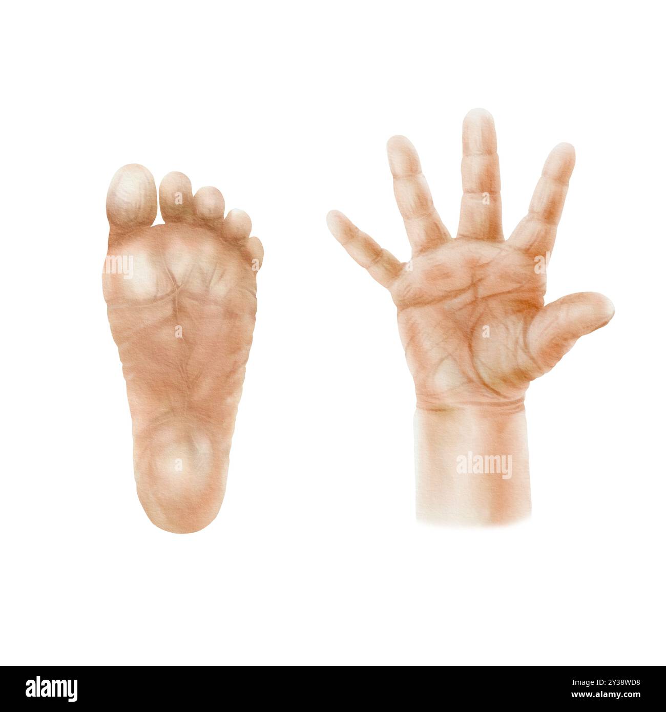Open small palm and little foot of a newborn baby as a symbol of new ...