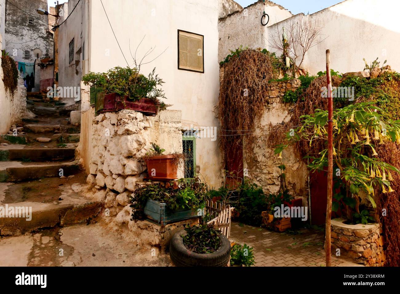 Bhalil Morocco the city of cave houses, 6 km north west of Sefrou. This ...