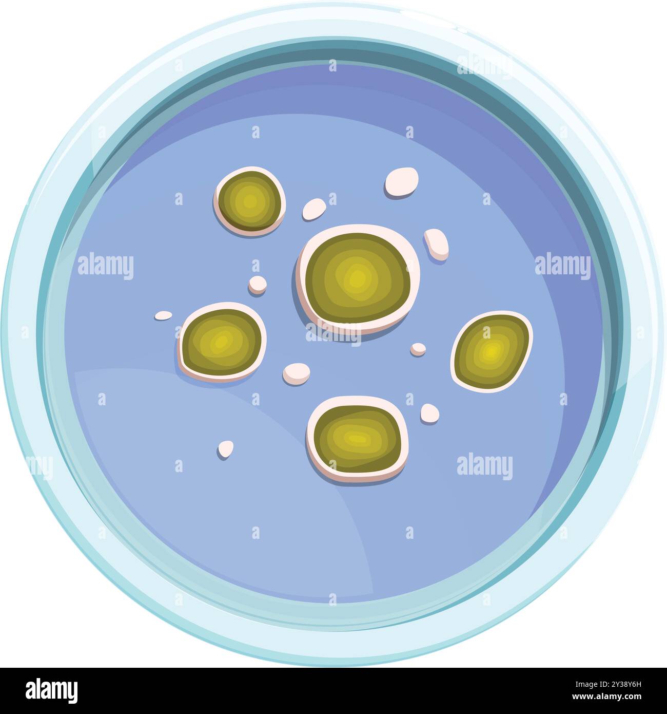 Cartoon style icon of a petri dish with colonies of bacteria growing on ...