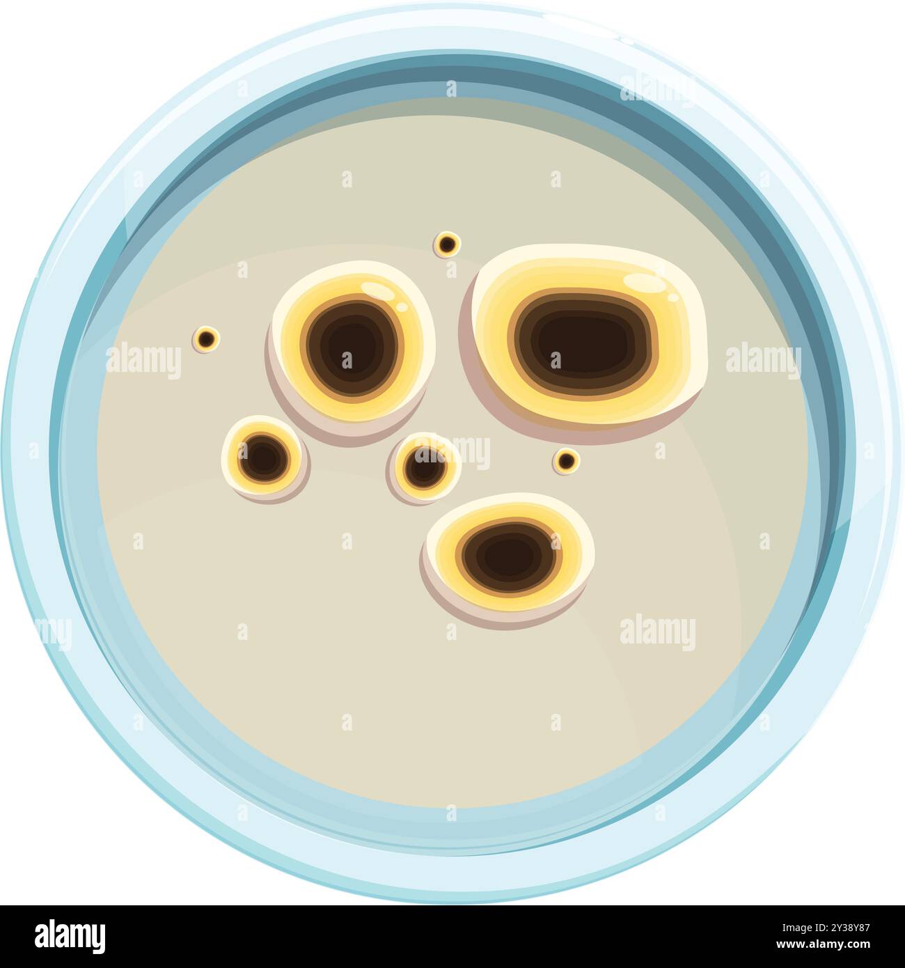 Petri dish containing agar growing microorganism colonies Stock Vector ...