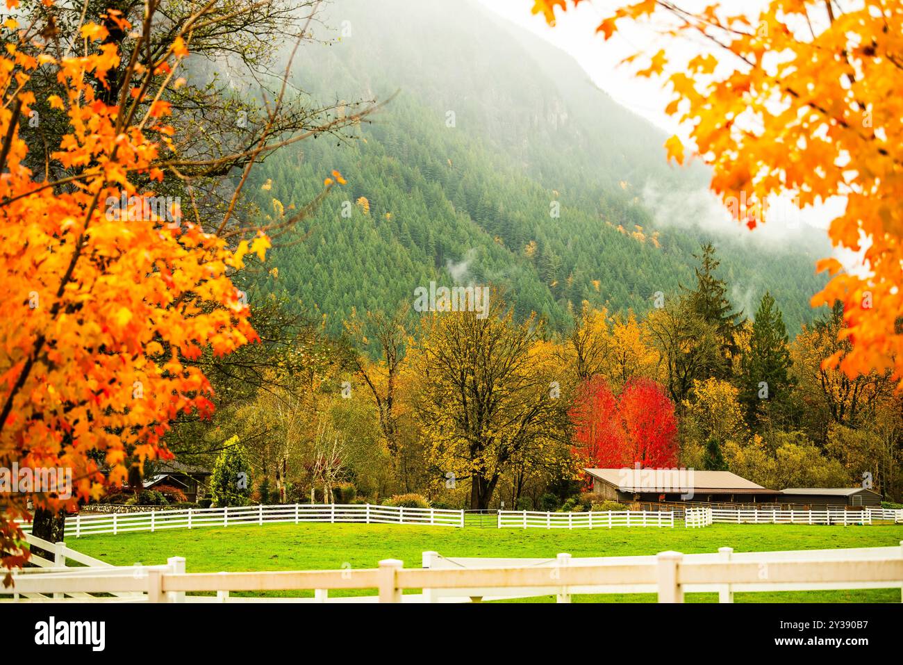 Idyllic farm with fall colors and a white fence against hillside Stock ...